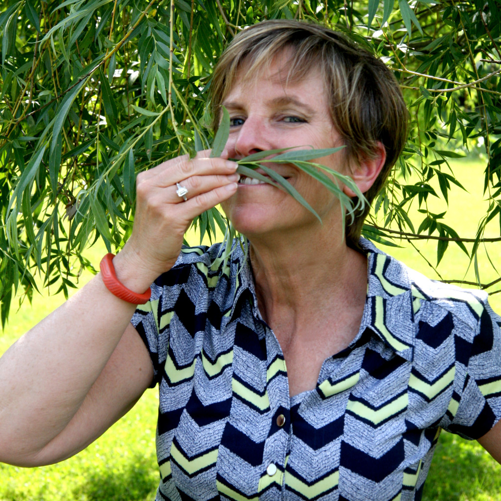 Main Course - Sandy Bernstein Comedy